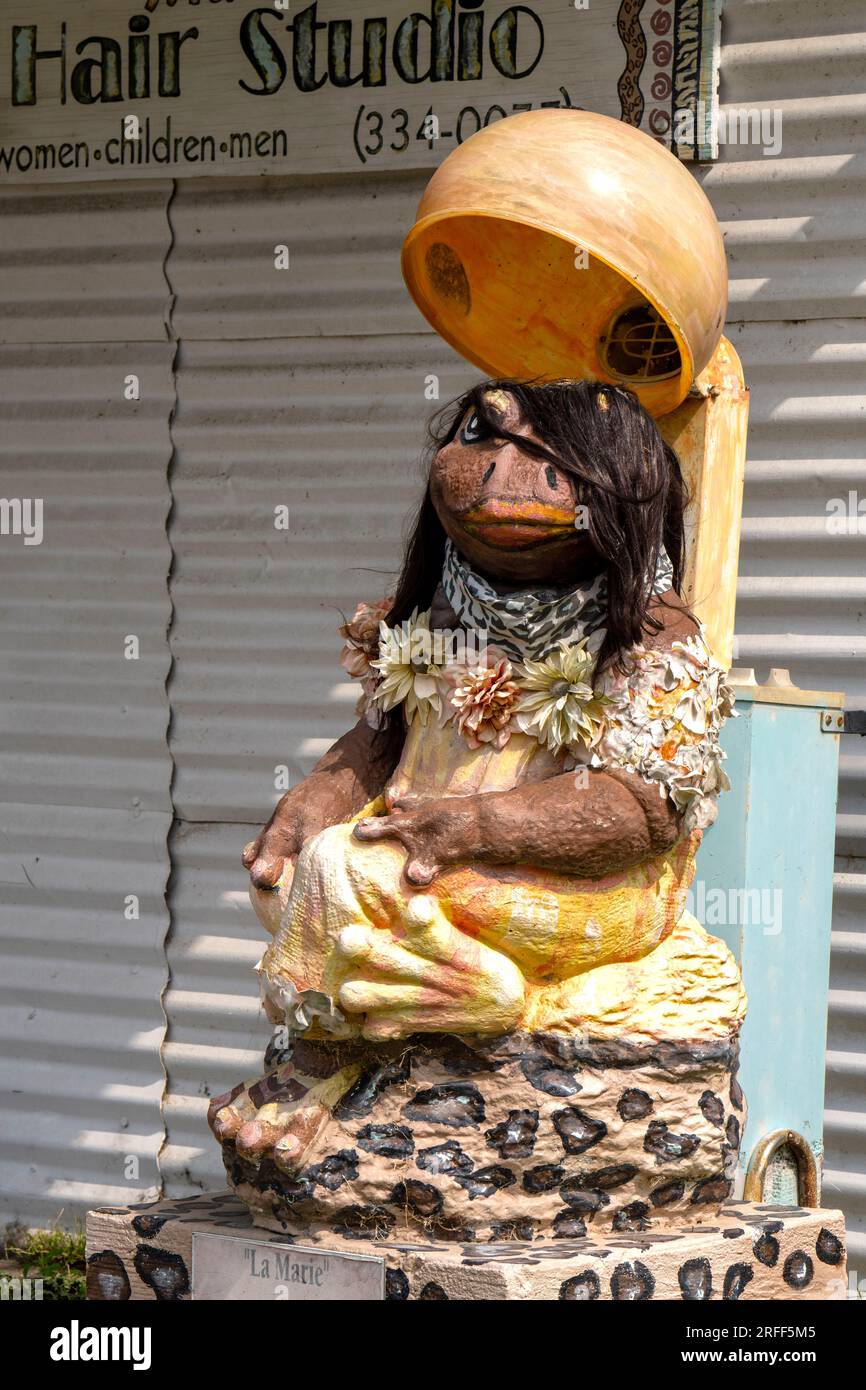 Rayne frog hi-res stock photography and images - Alamy