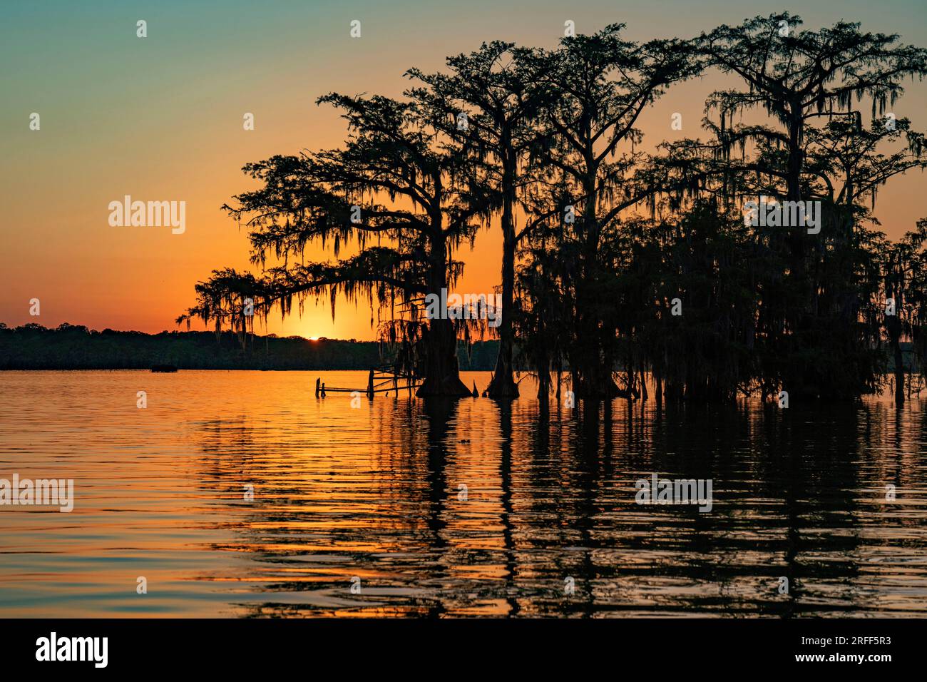 Louisiana Bayou Sunset