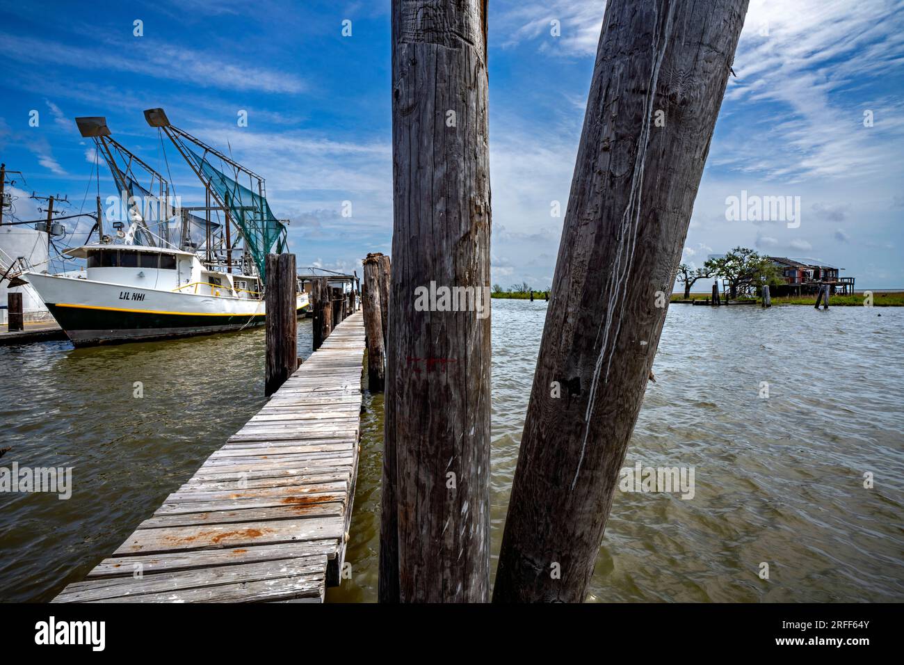 United States, Louisiana, Cocodrie, goatfish on the bayou Petit Caillou ...