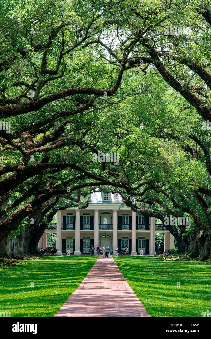 United States, Louisiana, Vacherie, antebellum house, Oak Alley ...