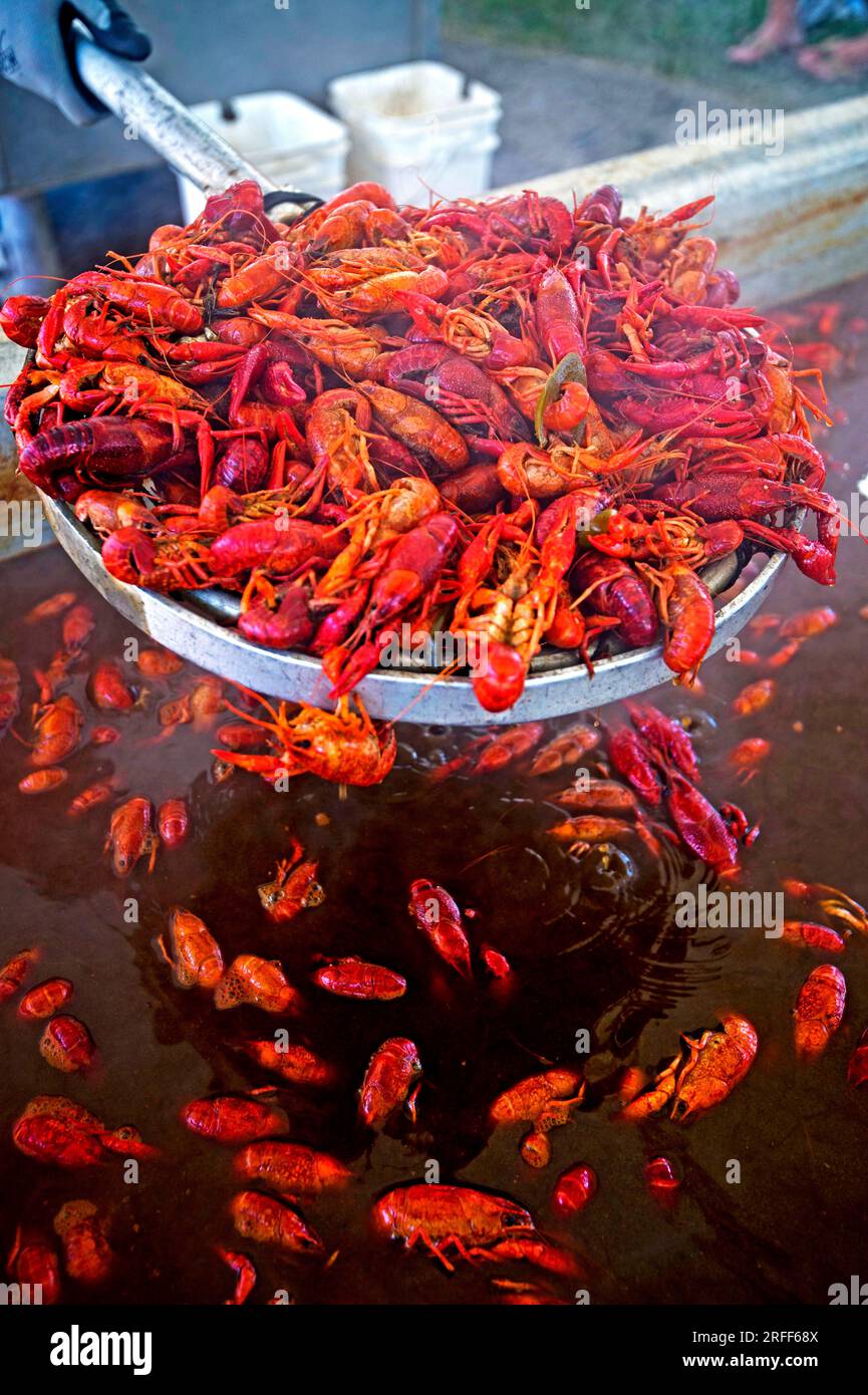 United States, Louisiana, Breaux Bridge, Crayfish Festival Stock Photo ...