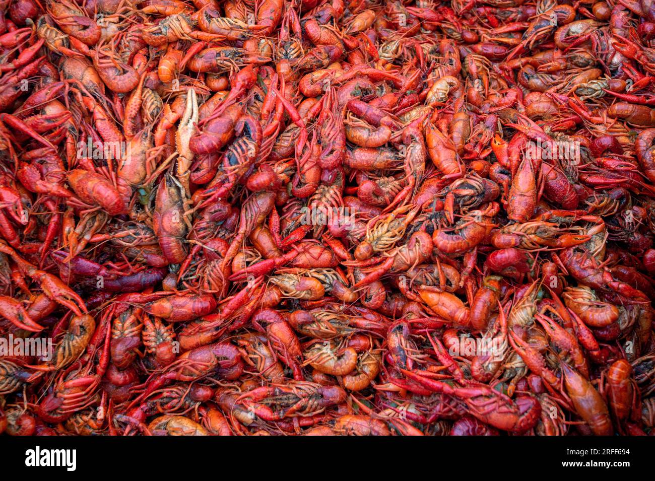 Breaux bridge crawfish festival hi-res stock photography and images - Alamy