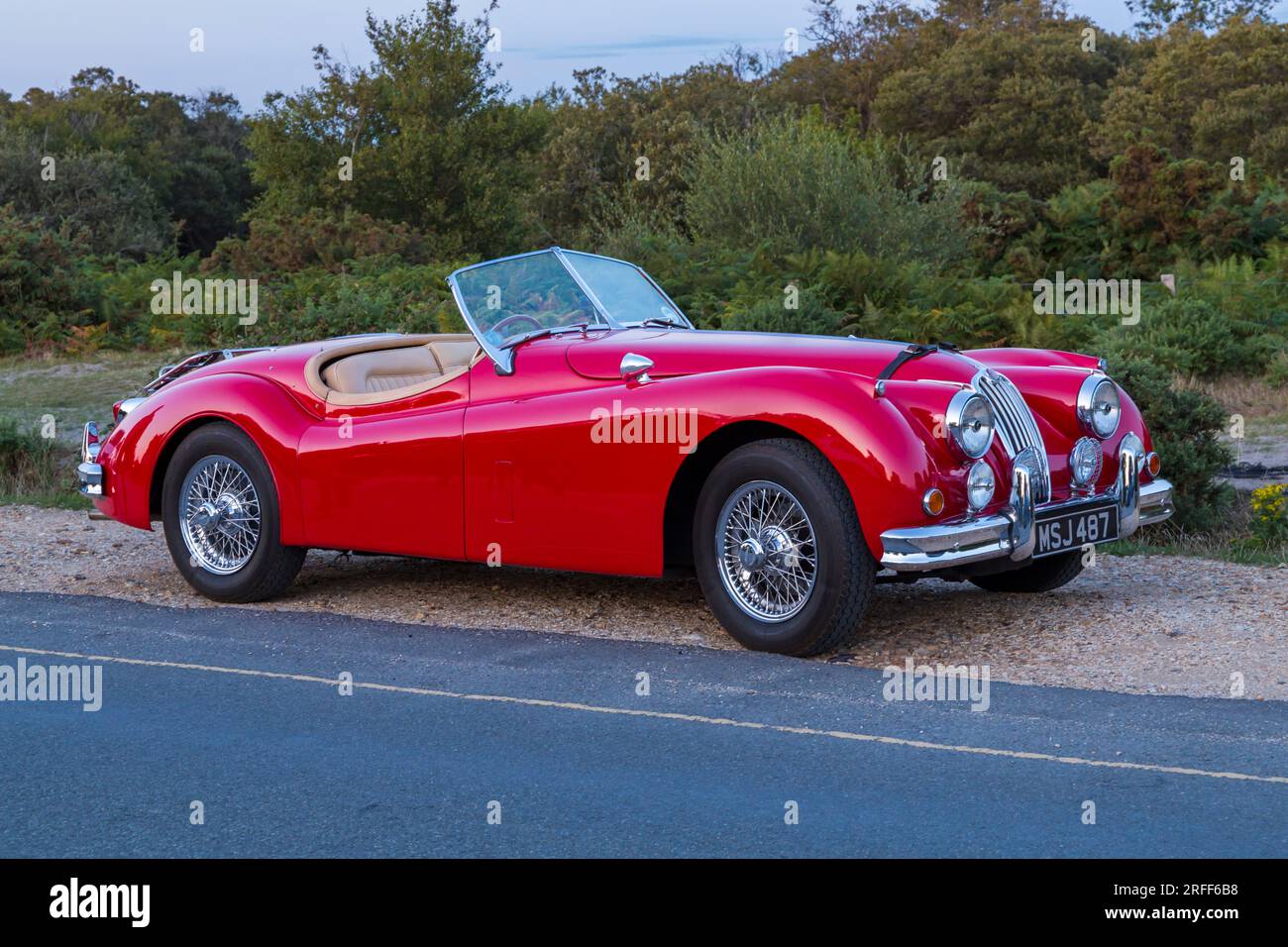 1955 Red Jaguar XK 140 XK140 car parked at Studland, Dorset UK in July ...