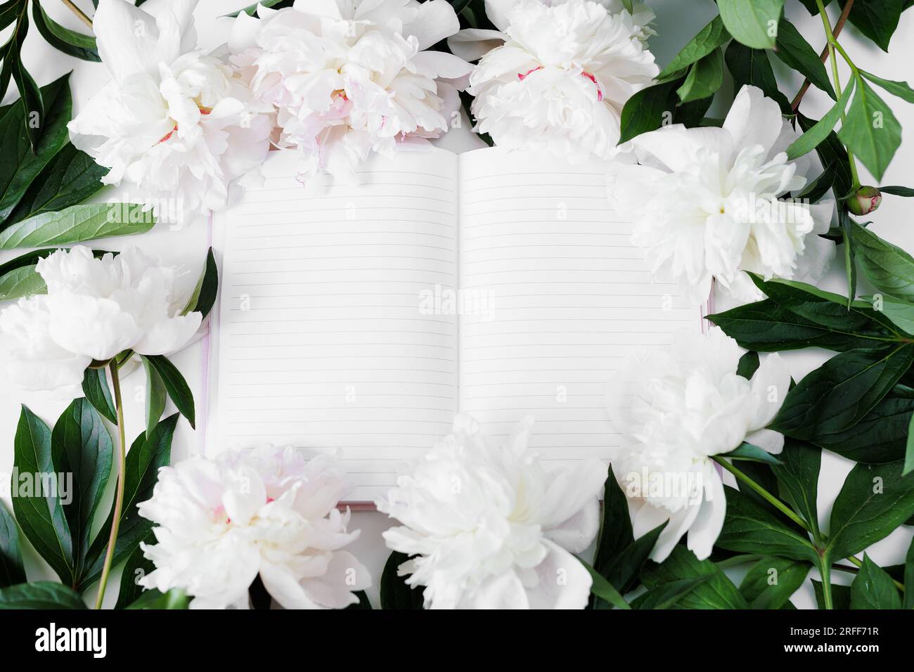 Pion frame hi-res stock photography and images - Alamy