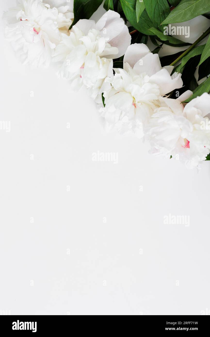 Pion frame hi-res stock photography and images - Alamy