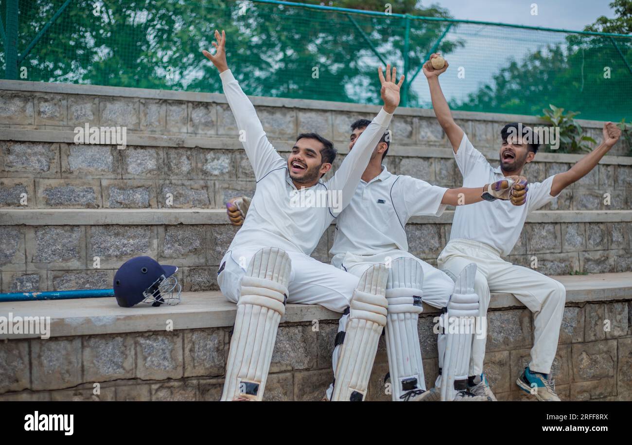 Celebrating sport cricket hi-res stock photography and images - Alamy