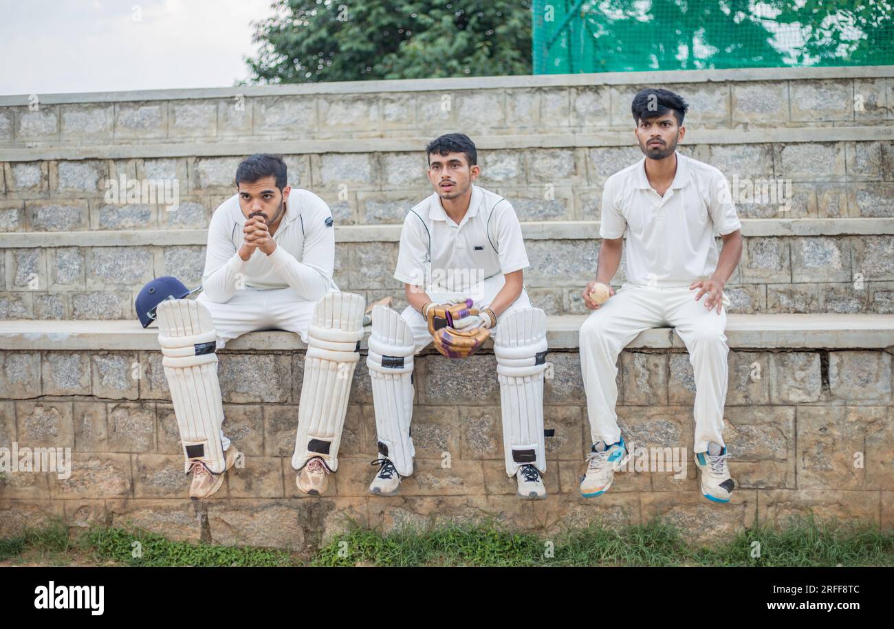 Cricketers celebrating hi-res stock photography and images - Alamy