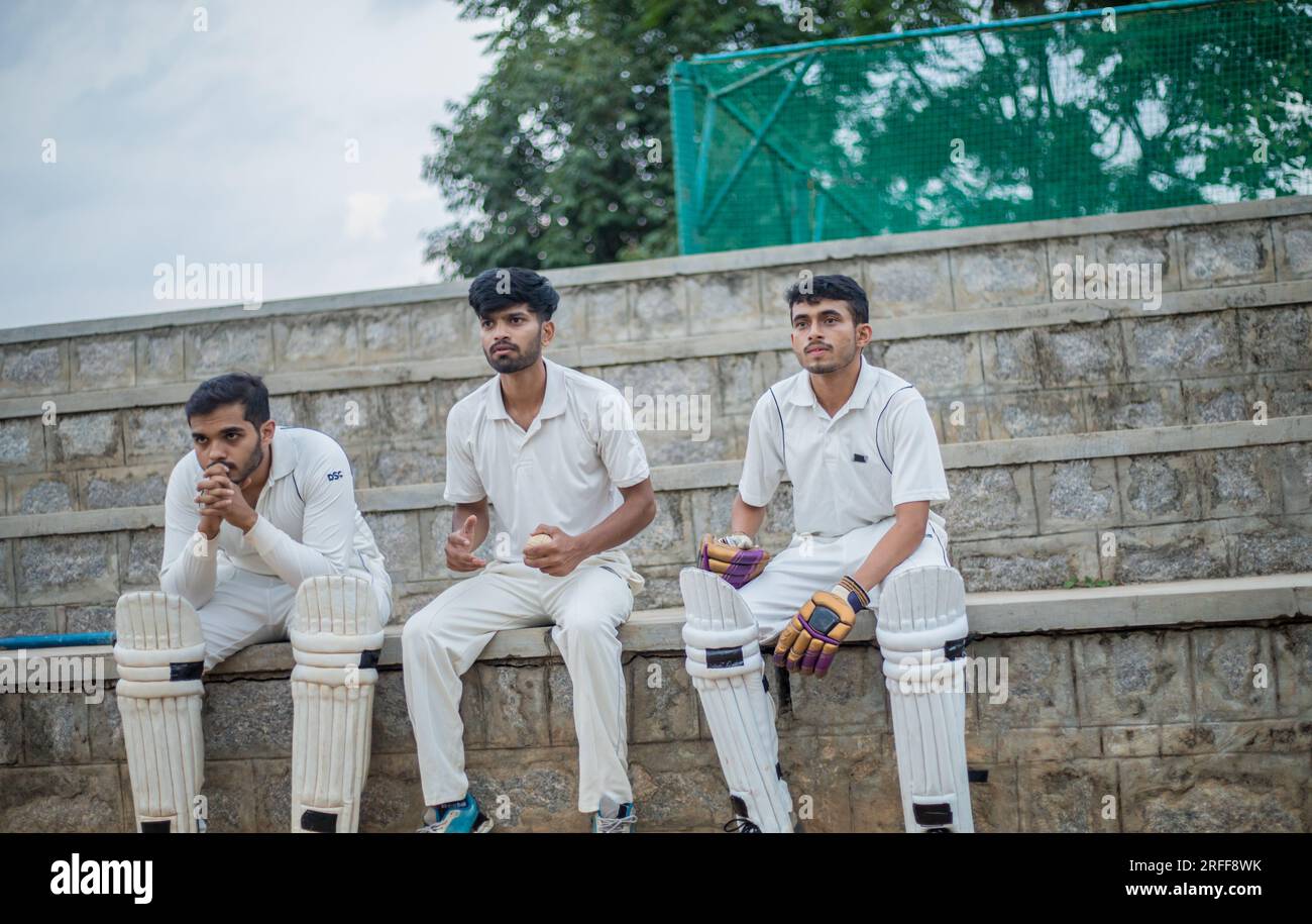 Cricketers celebrating hi-res stock photography and images - Alamy