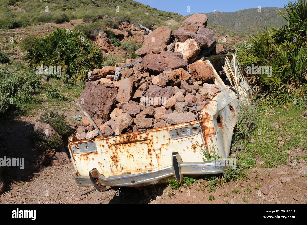 Chamaerops humilis volcano hi-res stock photography and images - Alamy