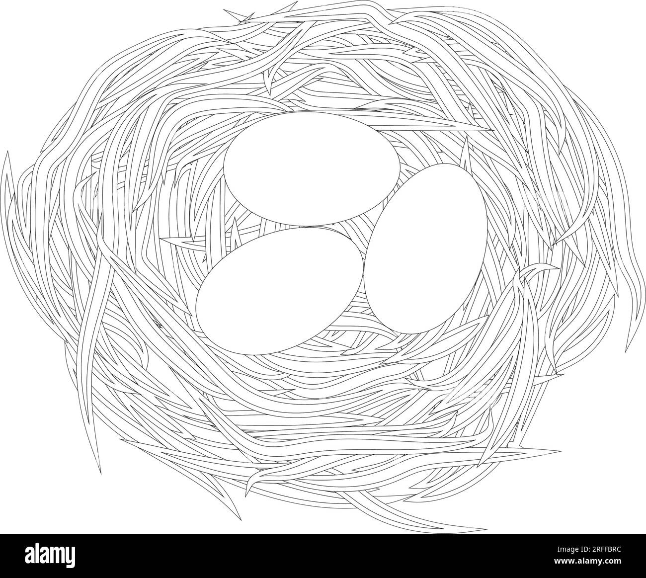 Robins nest Black and White Stock Photos & Images - Alamy