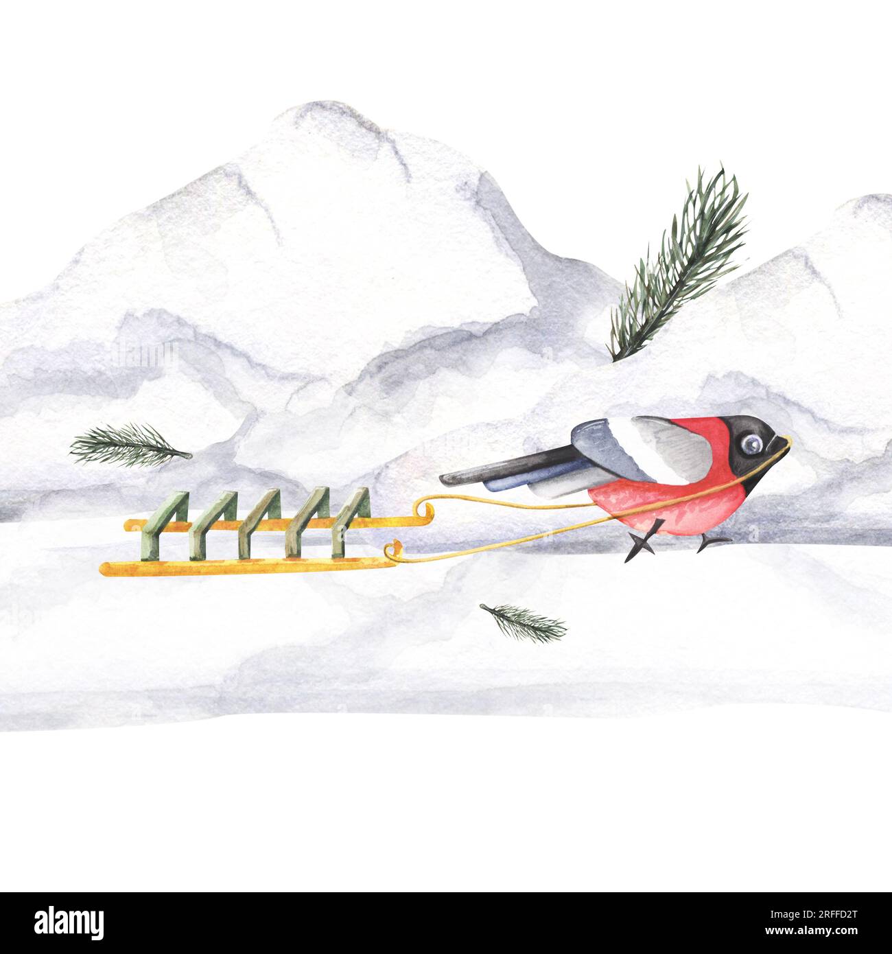 Bullfinch bird clipart hi-res stock photography and images - Alamy