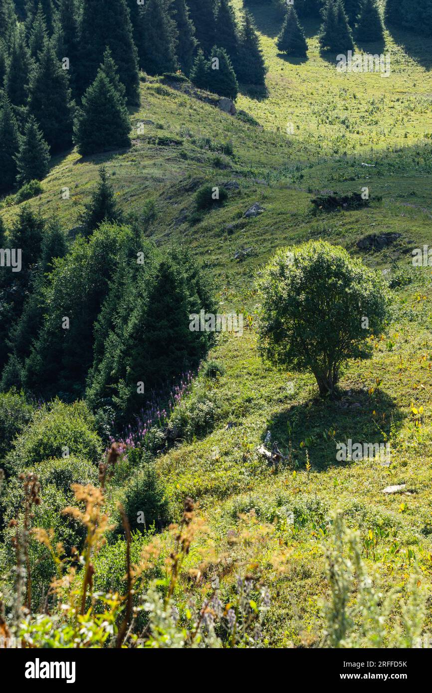 Kim asar gorge hi-res stock photography and images - Alamy