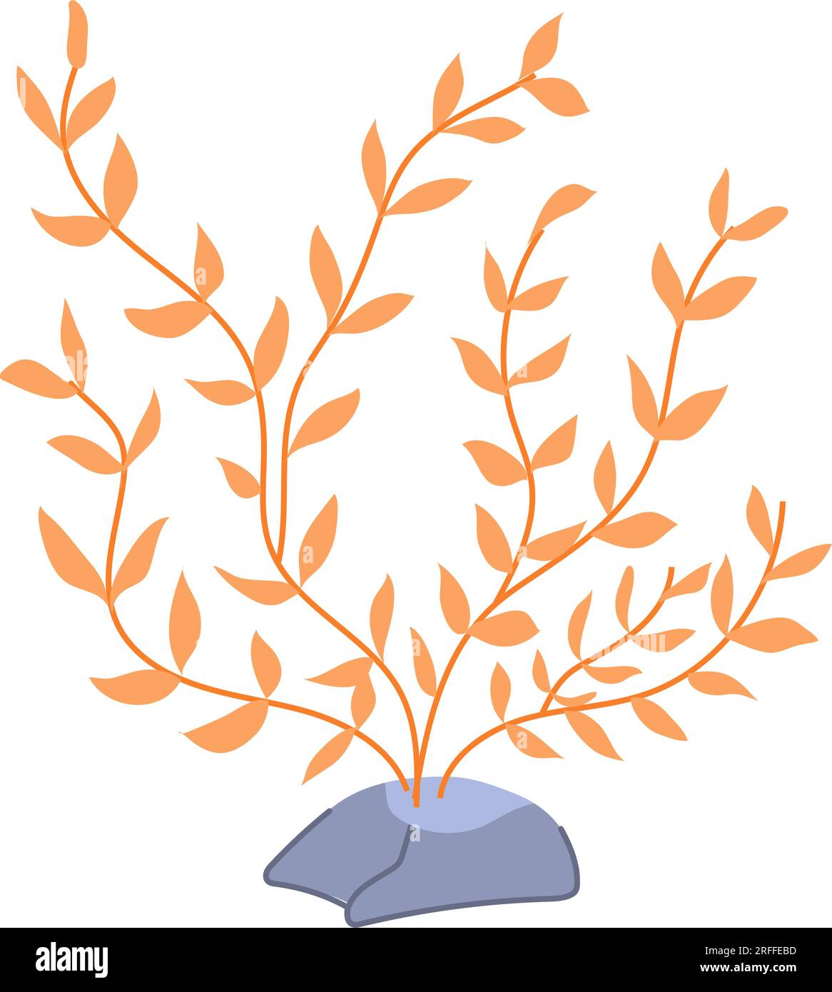 moss aquarium plant cartoon vector illustration Stock Vector Image ...