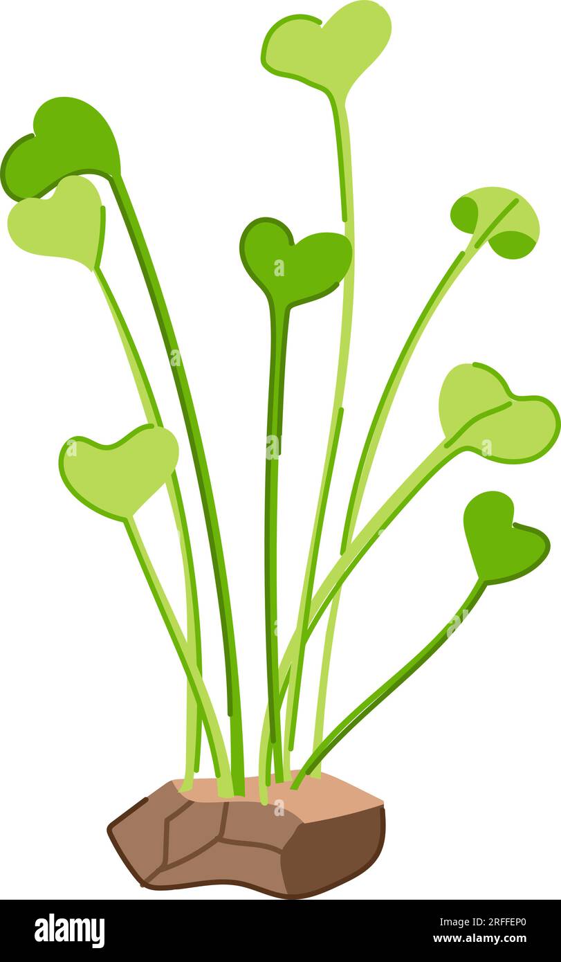 water aquarium plant cartoon vector illustration Stock Vector Image ...