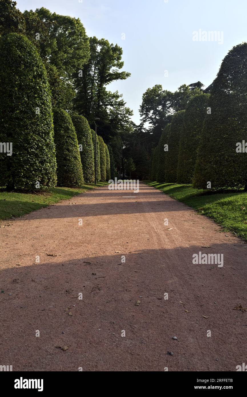 Path in a park at sunset bordered by trimmed hedges Stock Photo - Alamy
