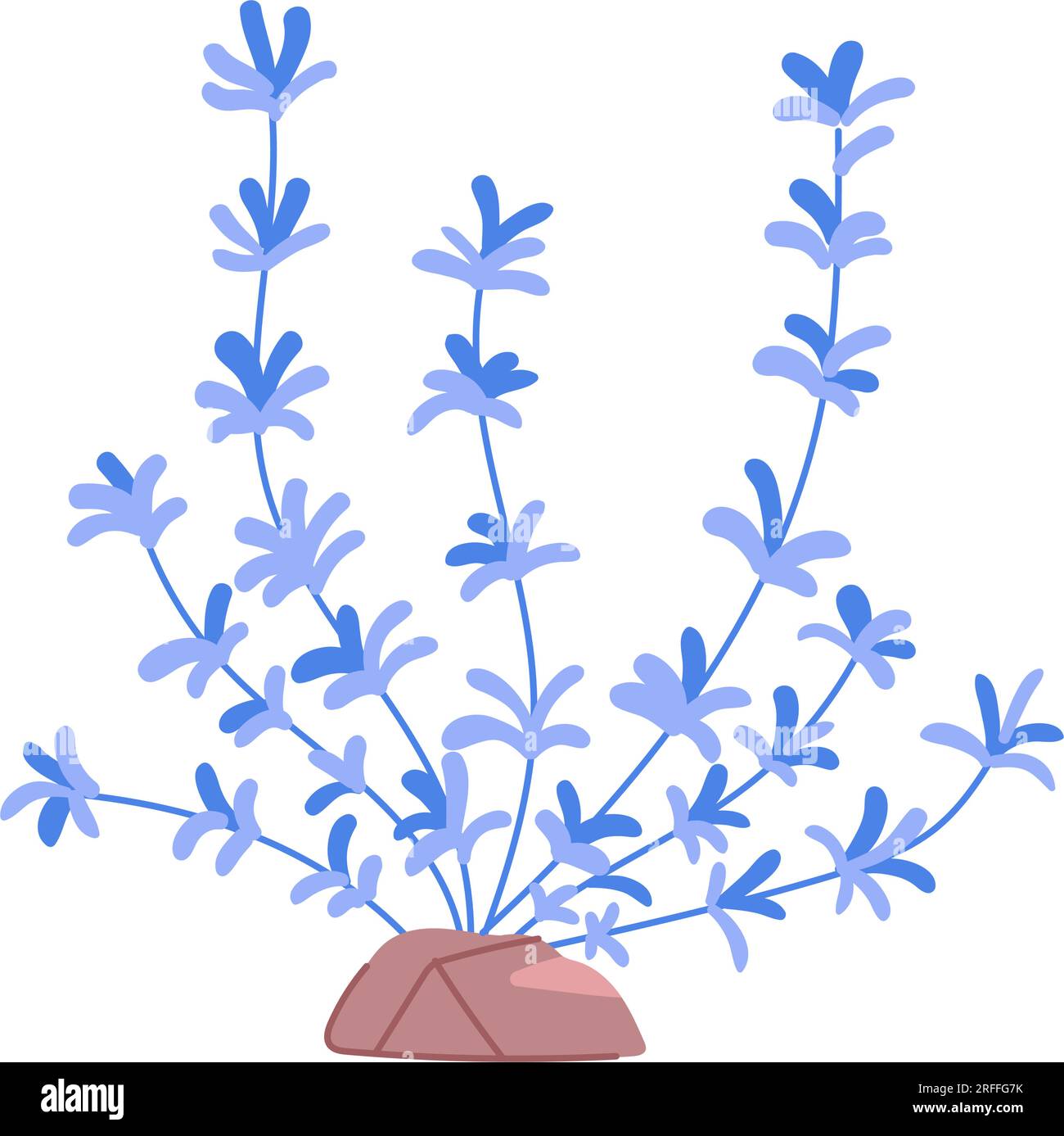 aquatic aquarium plant cartoon vector illustration Stock Vector Image & Art - Alamy