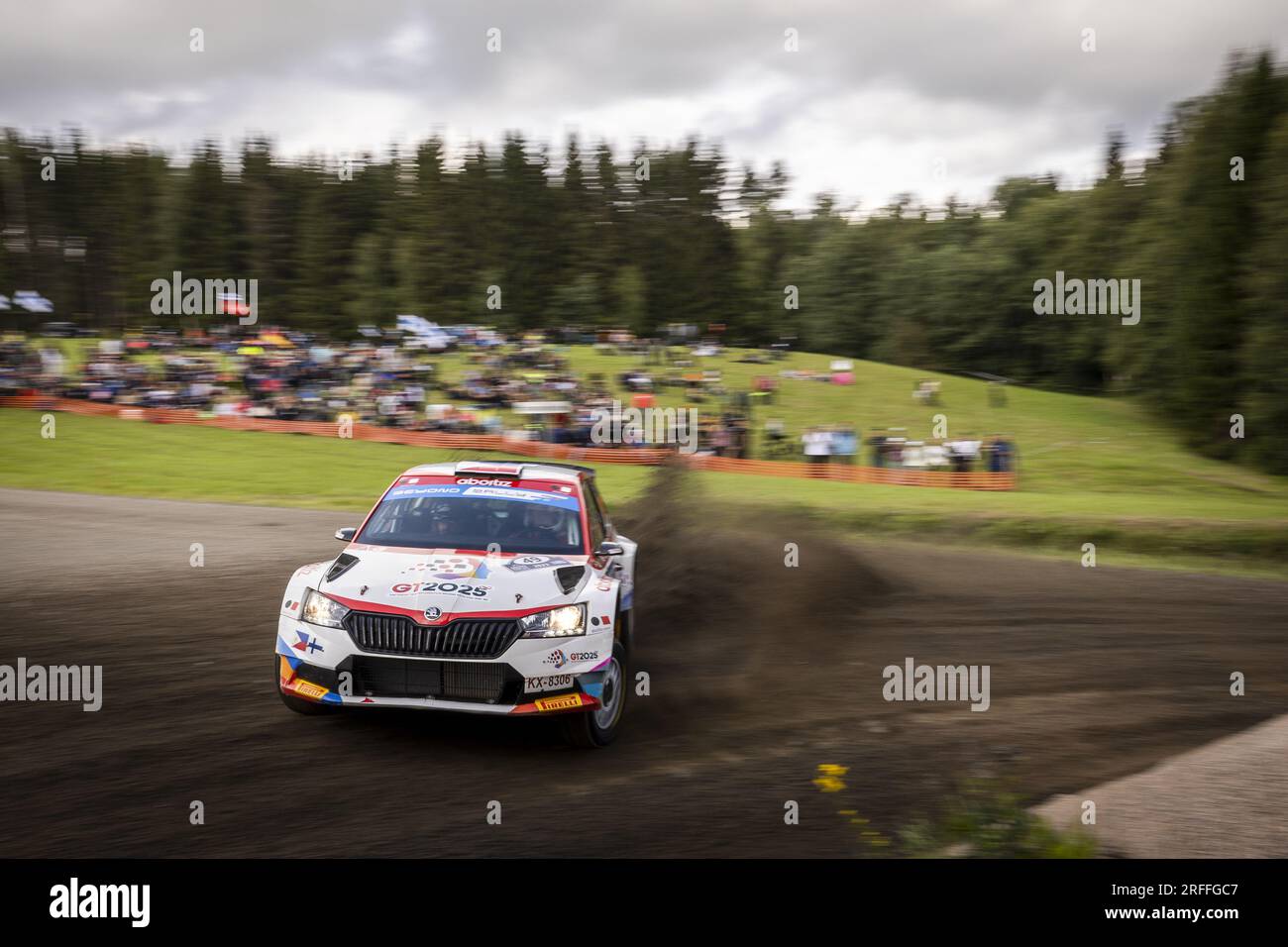 49 Miguel DIAZ ABOITIZ (ESP), Rodrigo SANJUAN (ESP), SKODA Fabia Evo, RC2, Rally2, action during ...