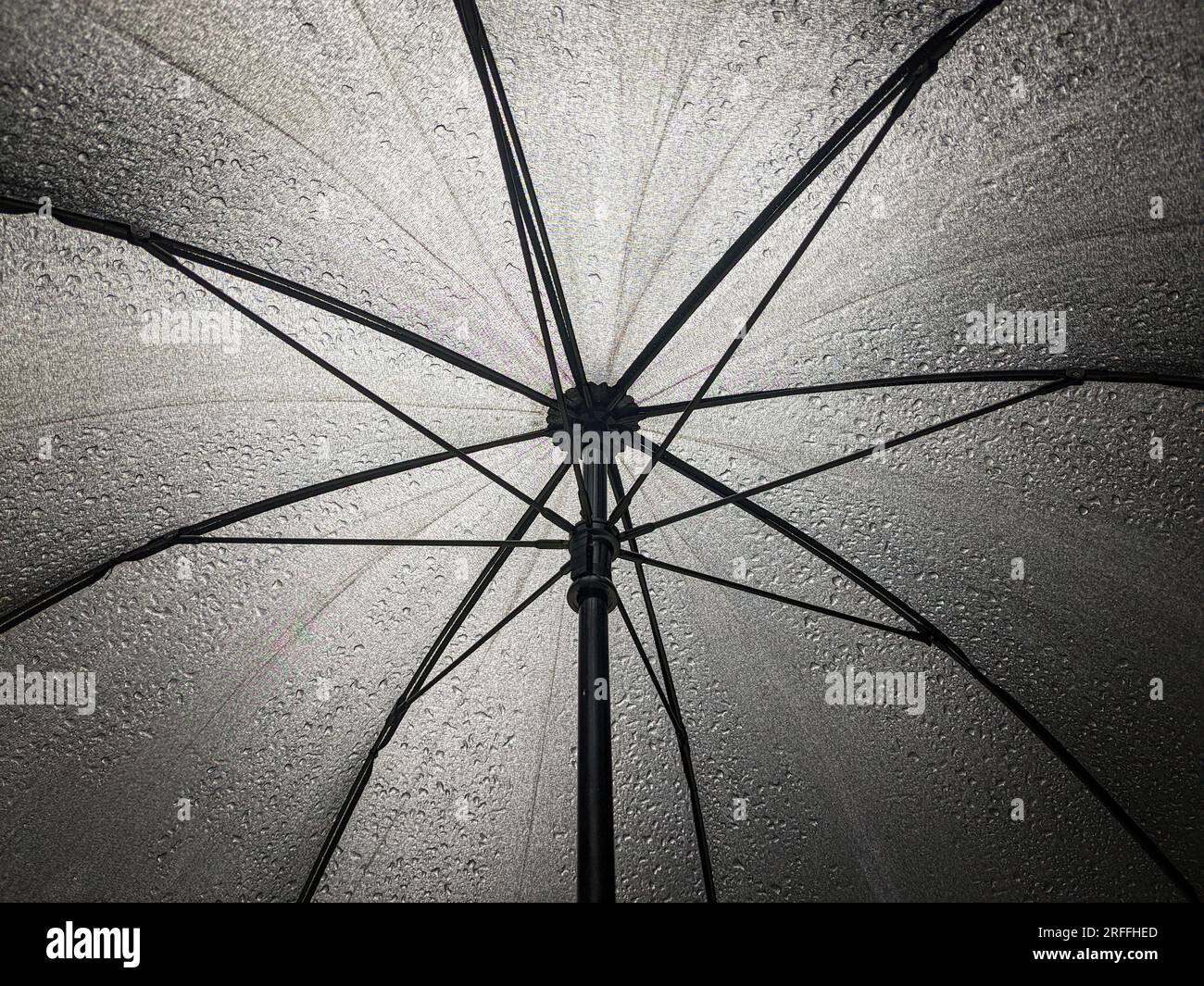 Steel umbrella frame hi-res stock photography and images - Alamy