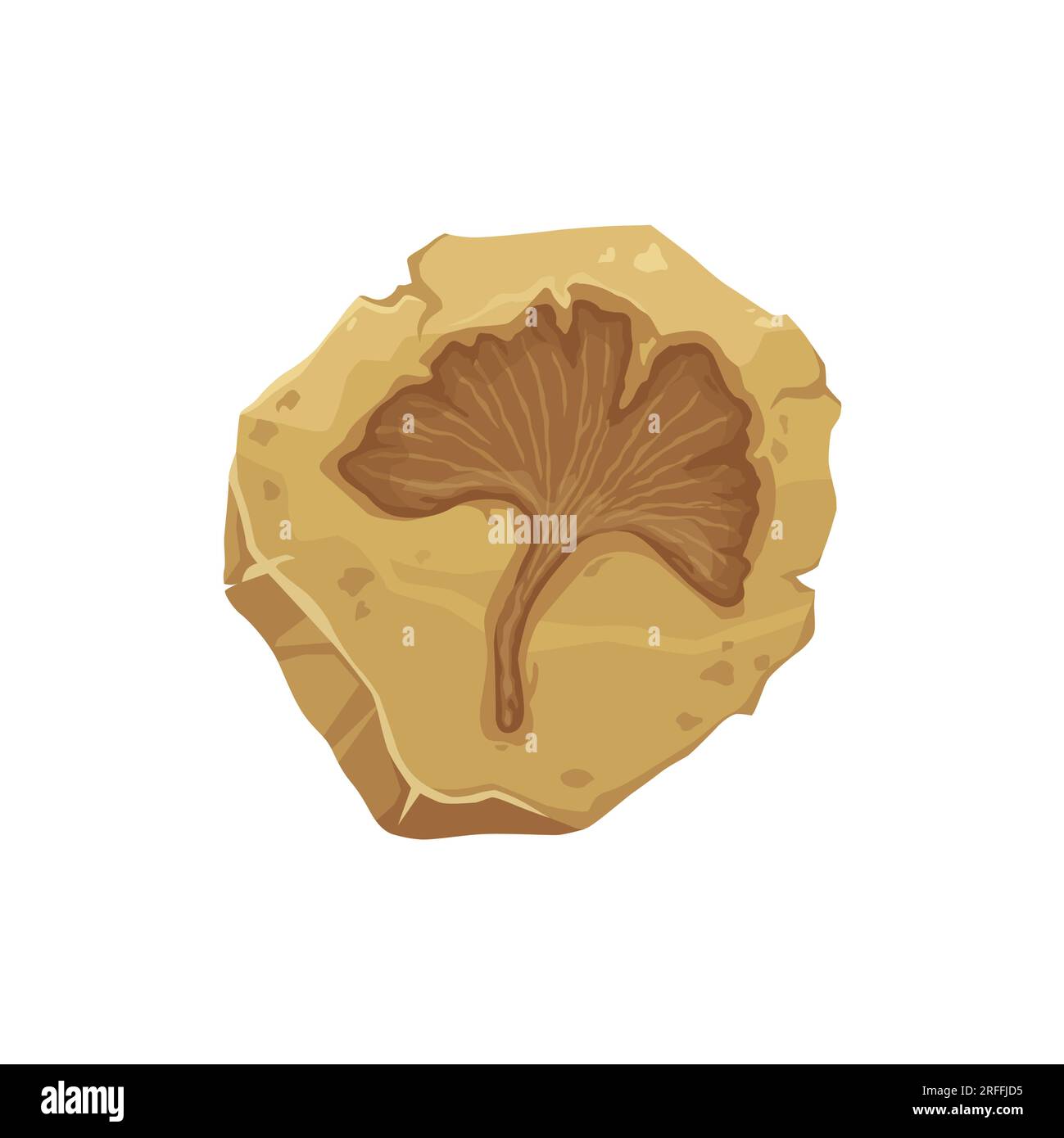 Plant fossil, ancient stone ginkgo leaf imprint. Cartoon brown rock ...