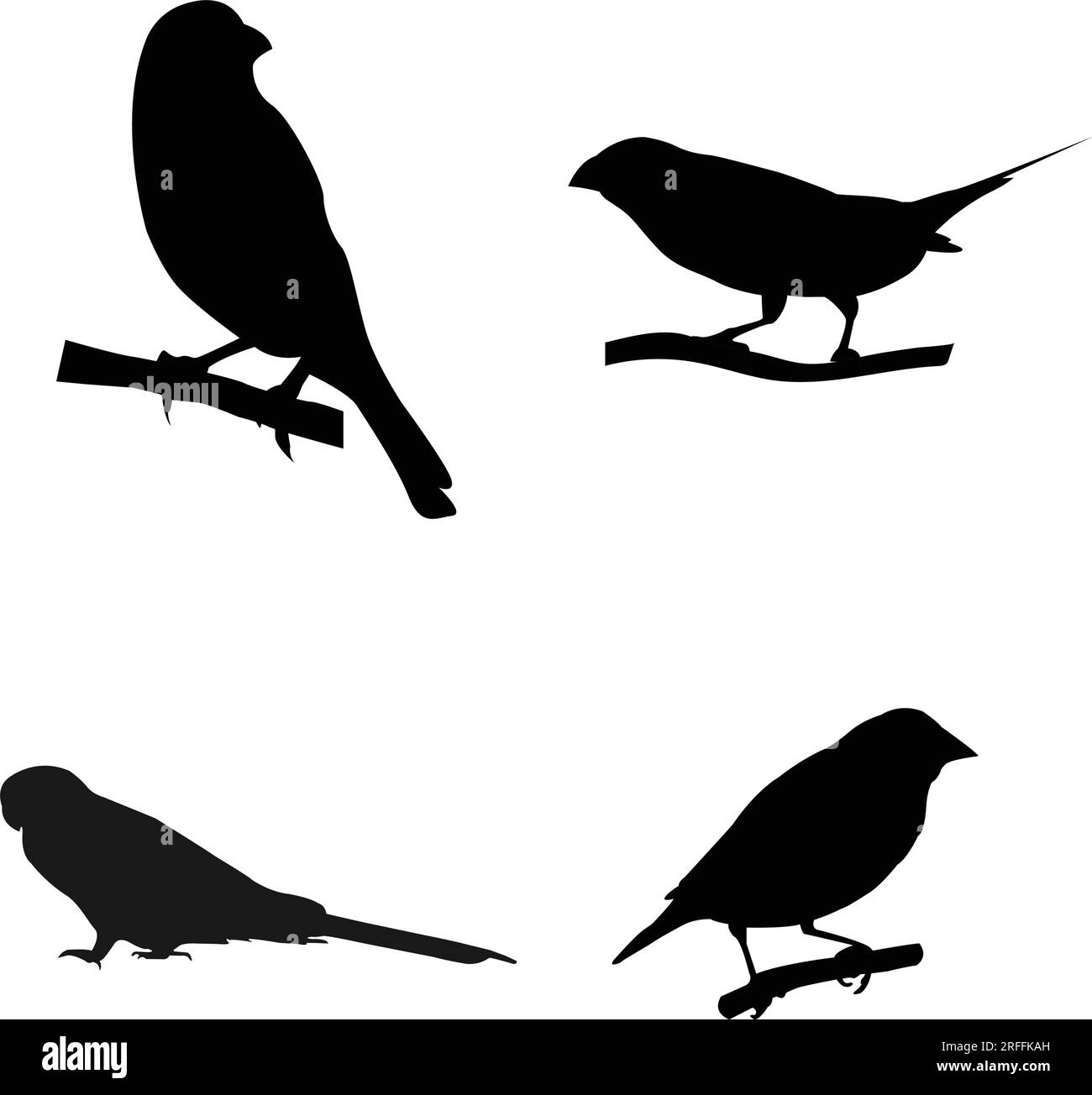 gouldian finch bird icon vector illustration design Stock Vector Image ...