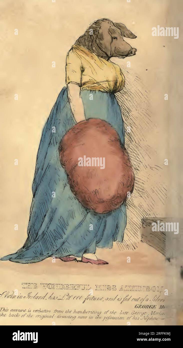 The pig faced woman hi-res stock photography and images - Alamy