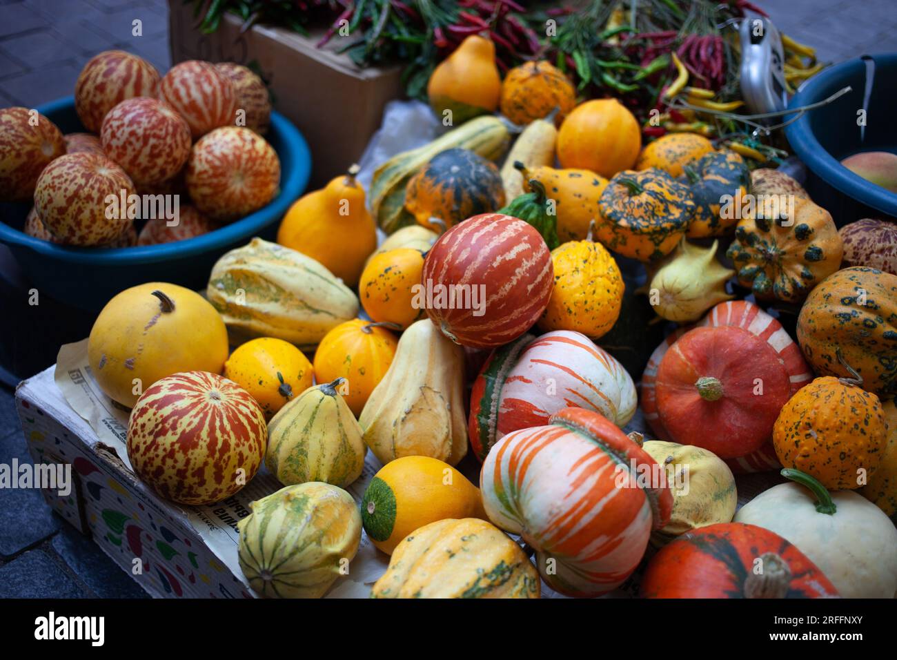 Queen of fruits hi-res stock photography and images - Alamy