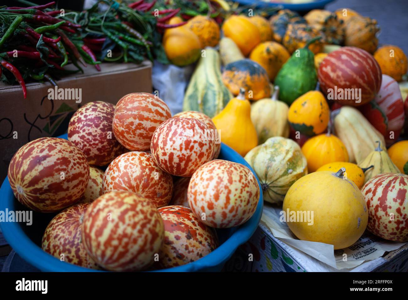 Plum granny melon hi-res stock photography and images - Alamy