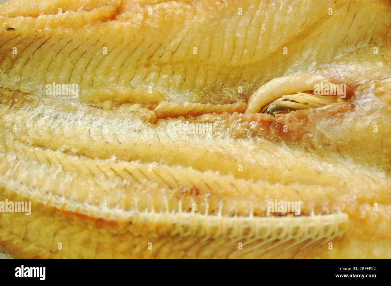 Snake head fish deep hi-res stock photography and images - Alamy