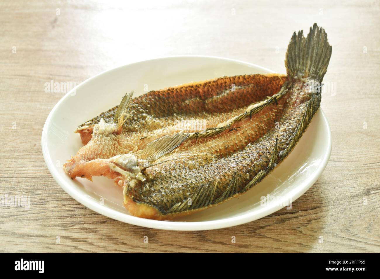 Snake head fish deep hi-res stock photography and images - Alamy