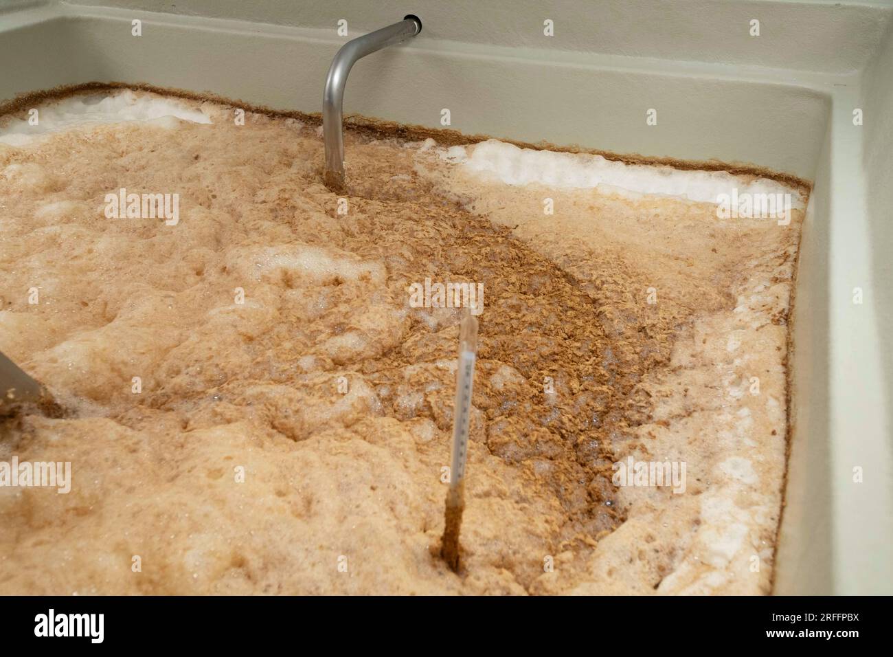 Beer in open fermentation, fermentation process, fermentation tank ...