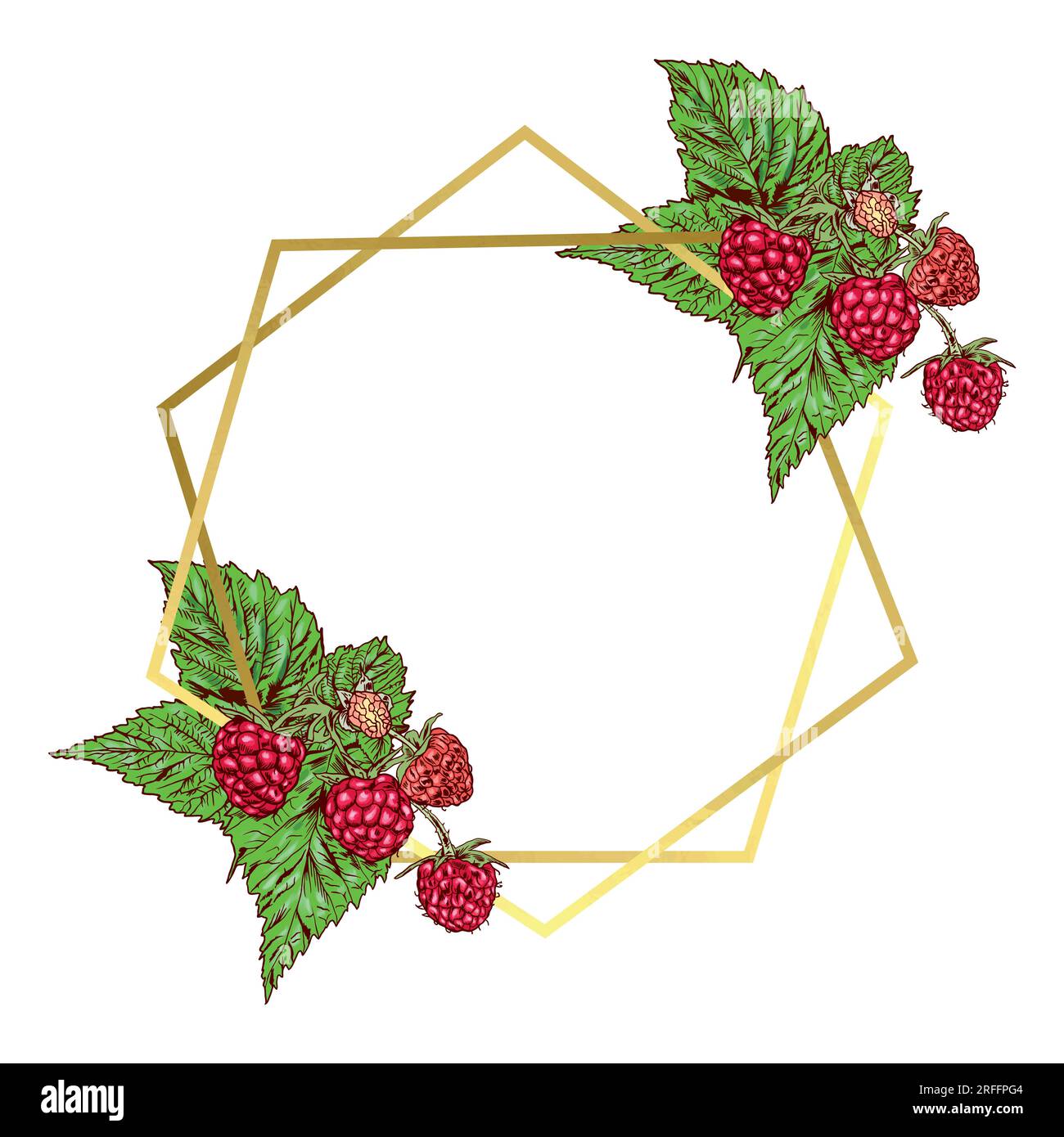 Golden frame with raspberry branches. Vector illustration of a frame ...
