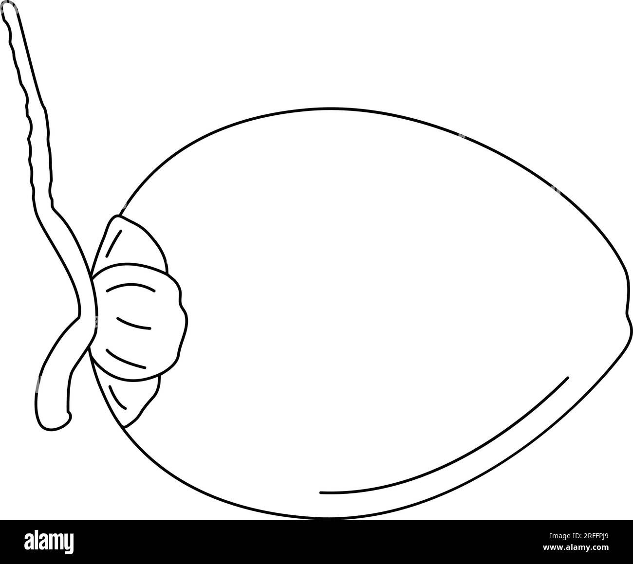 Tea composition vector concept Cut Out Stock Images & Pictures - Alamy