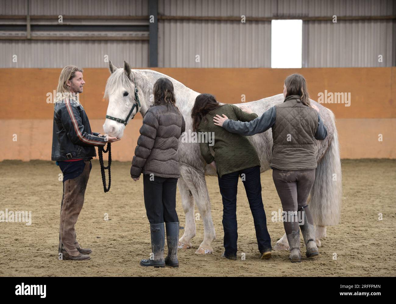 Equine therapy hi-res stock photography and images - Alamy