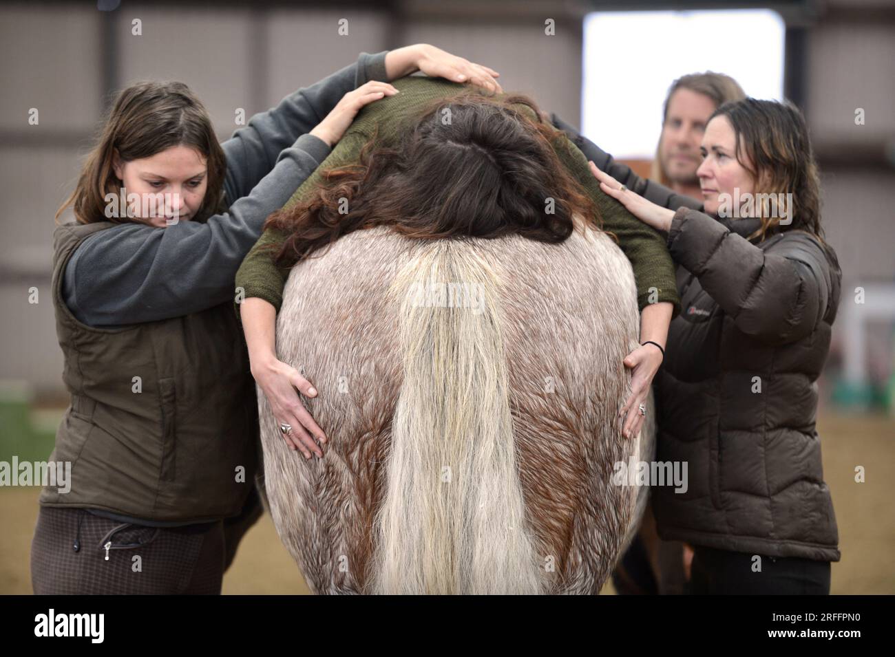 Equine therapy hi-res stock photography and images - Alamy