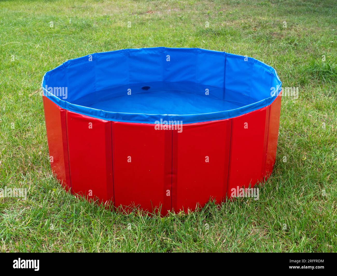 Swimming pool for dogs on a green lawn. Dog pool close-up Stock Photo ...
