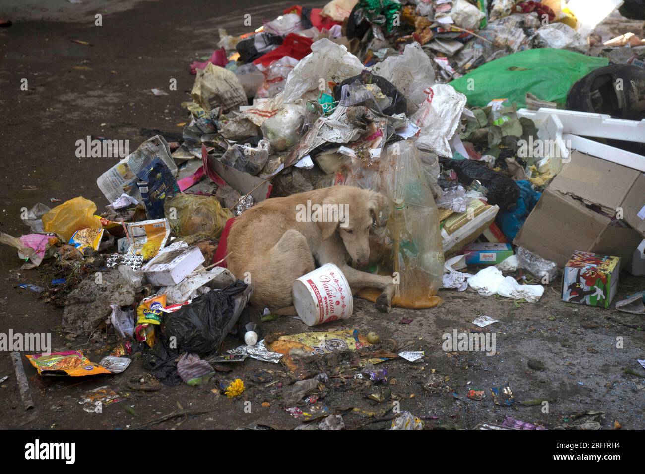 Litter in india hi-res stock photography and images - Alamy