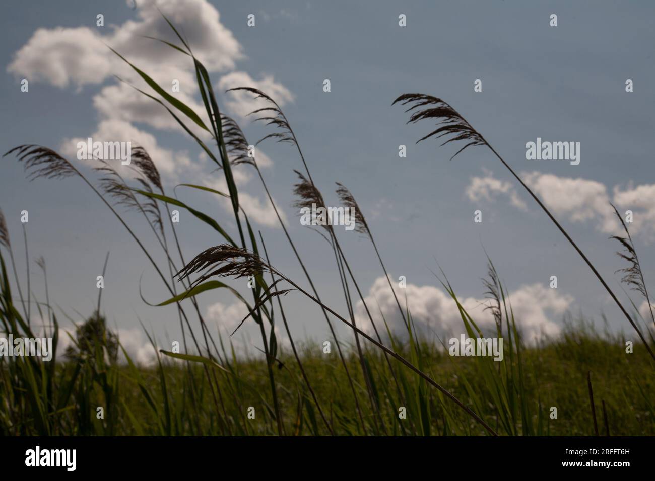 Fishkill park hi-res stock photography and images - Alamy