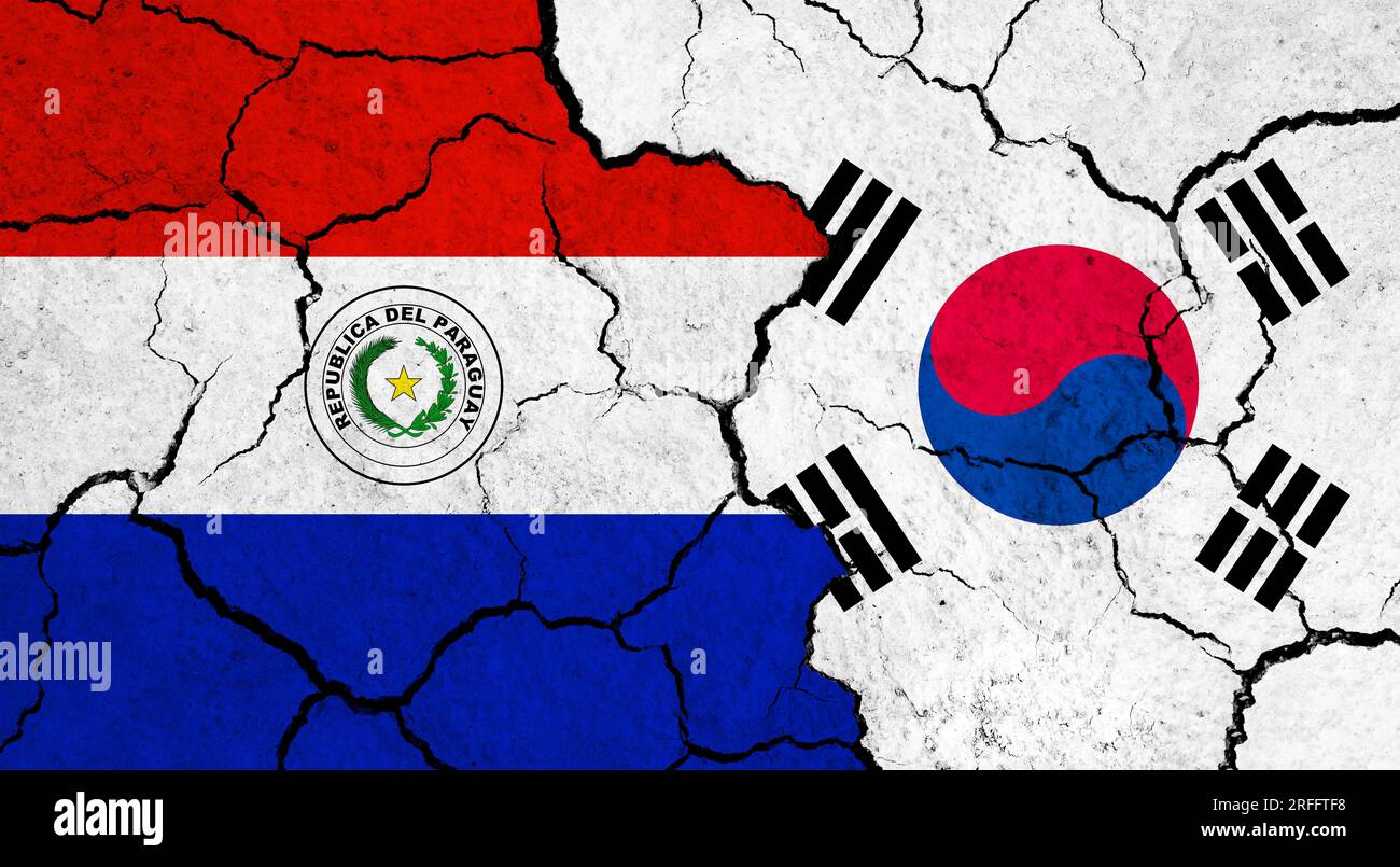 South korea vs paraguay hi-res stock photography and images - Alamy