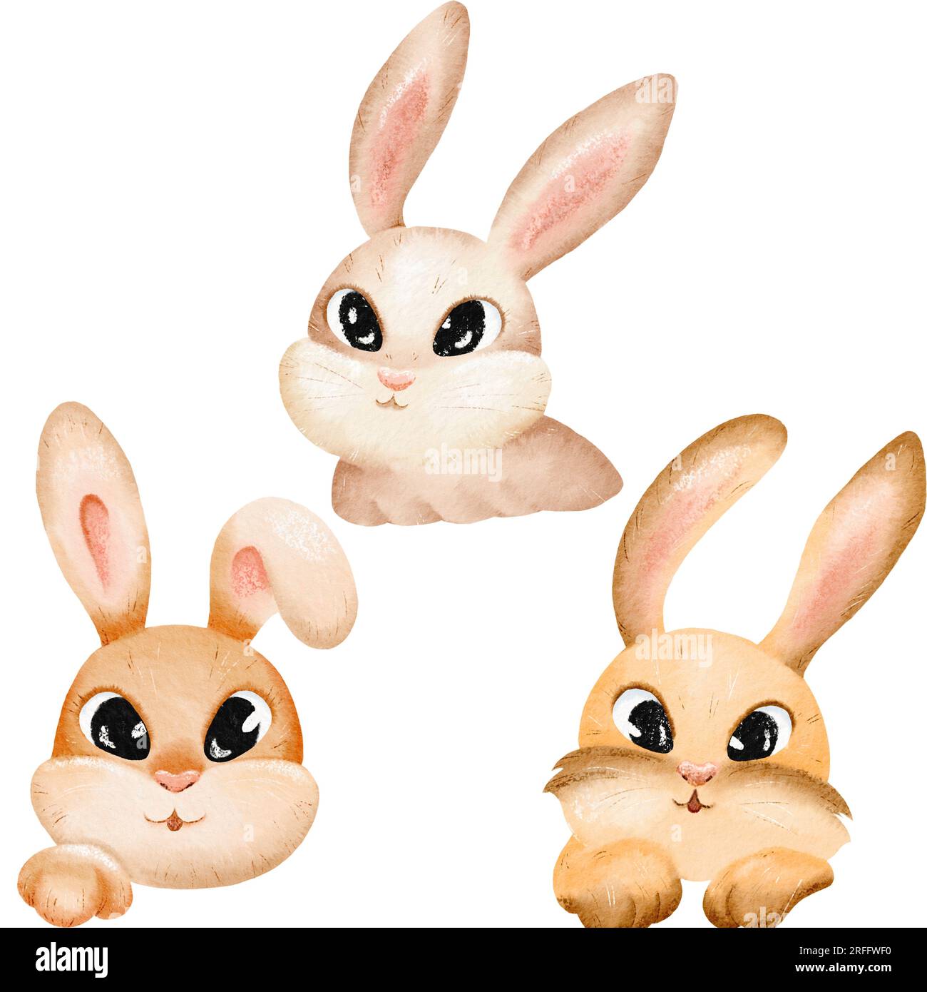 Bunny and rabbit watercolor set. Hand drawn bunnies and rabbits in ...