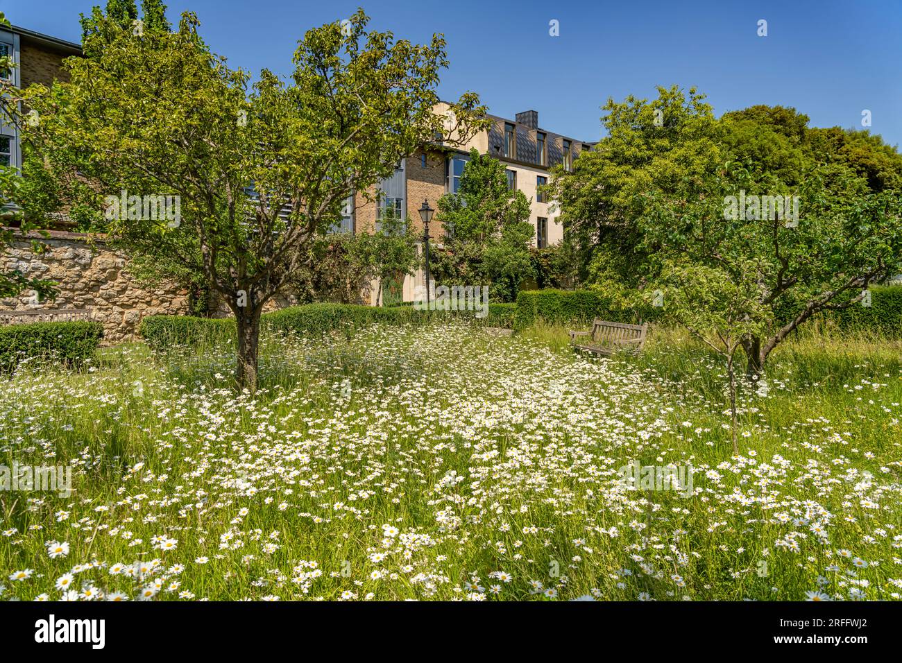 Blumenwiese des Worcester College der University of Oxford, Oxfordshire ...