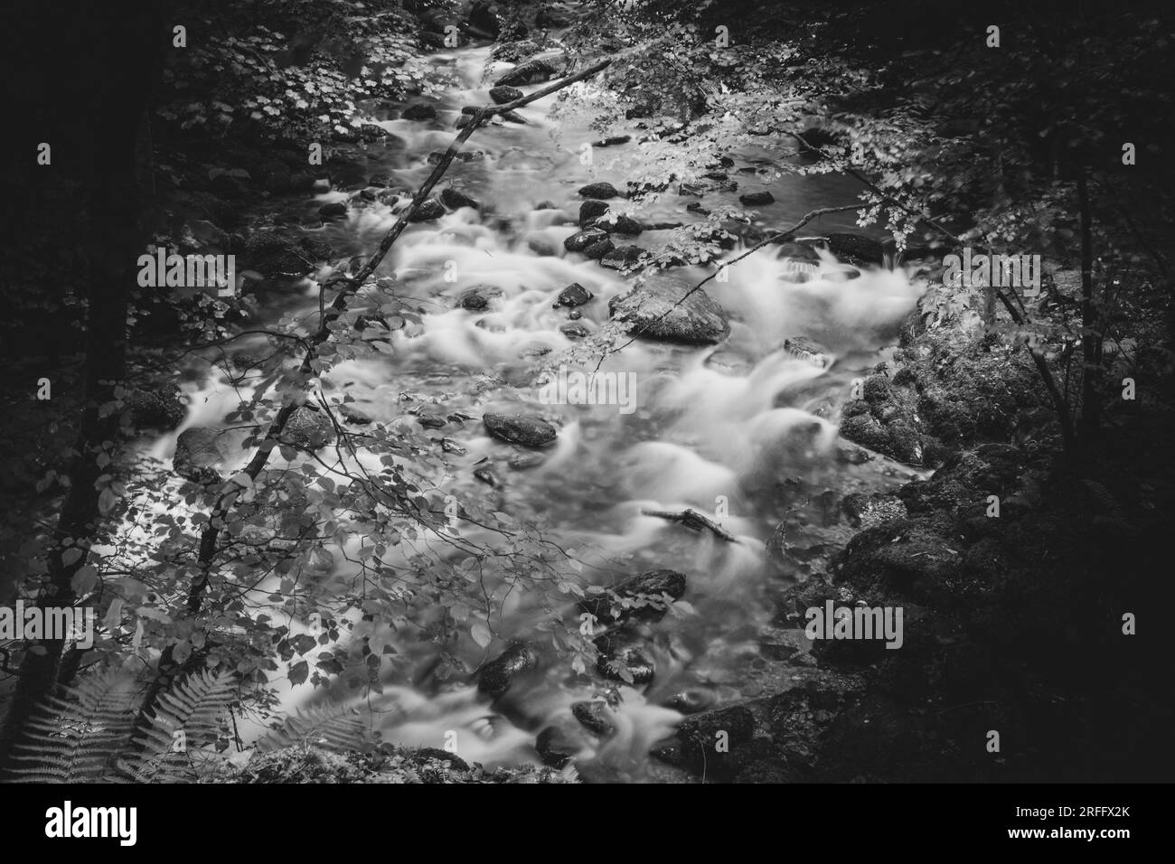 River in black and white Stock Photo - Alamy