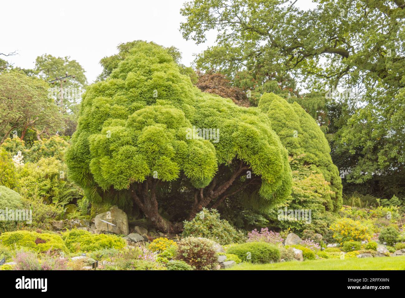 Windermere garden landscape Stock Photo - Alamy