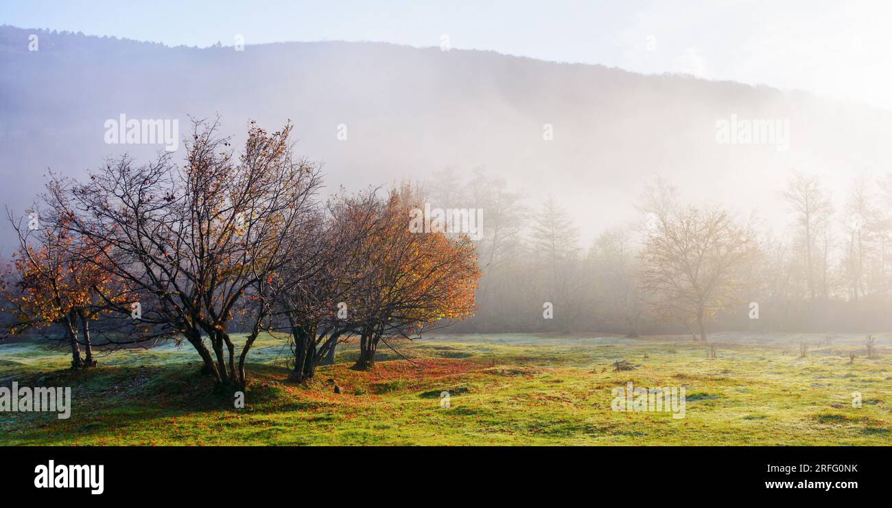 mountainous rural landscape on a misty sunrise. gorgeous fall nature ...