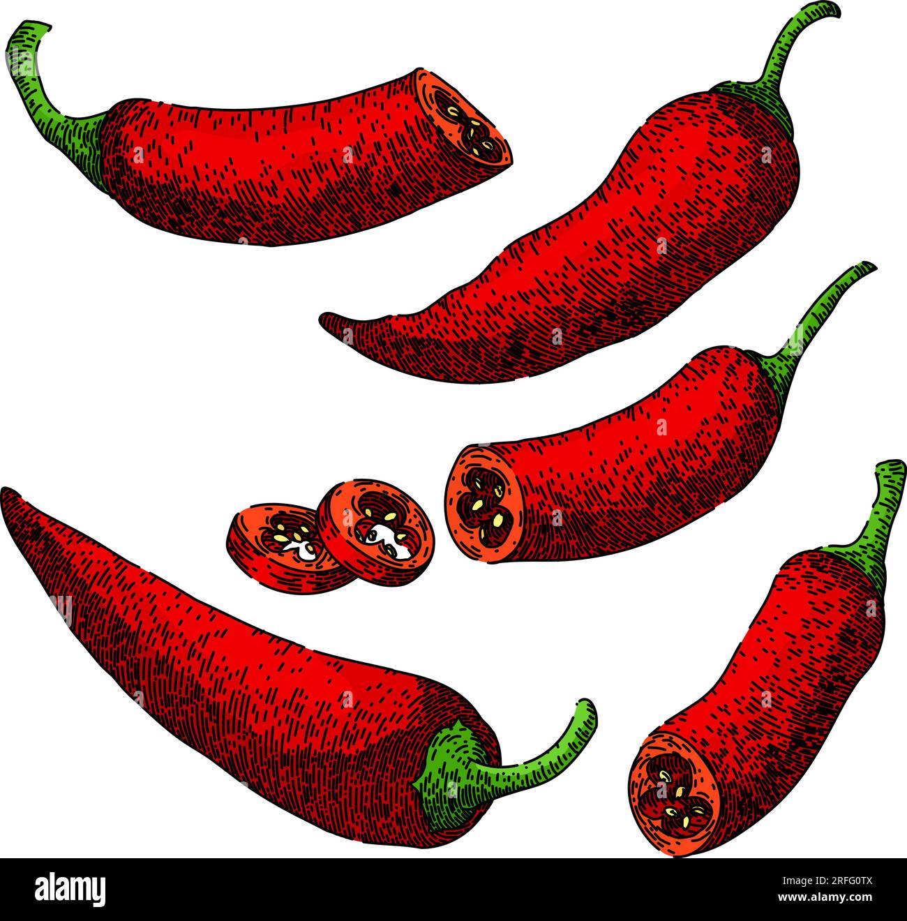 Close up raw spicy Stock Vector Images - Alamy