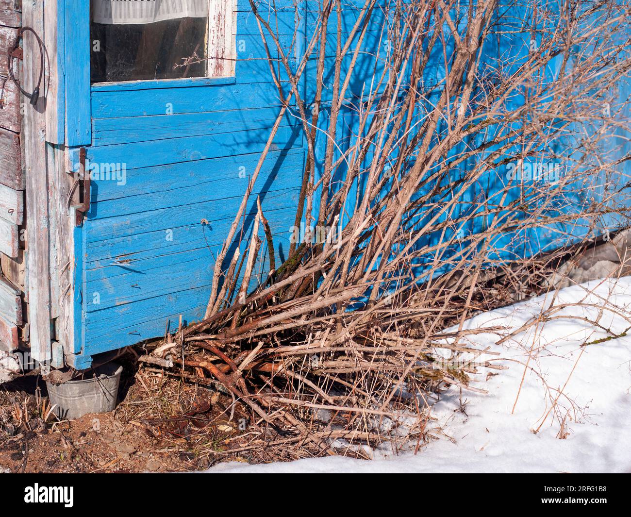 Foundation overgrown hi-res stock photography and images - Alamy