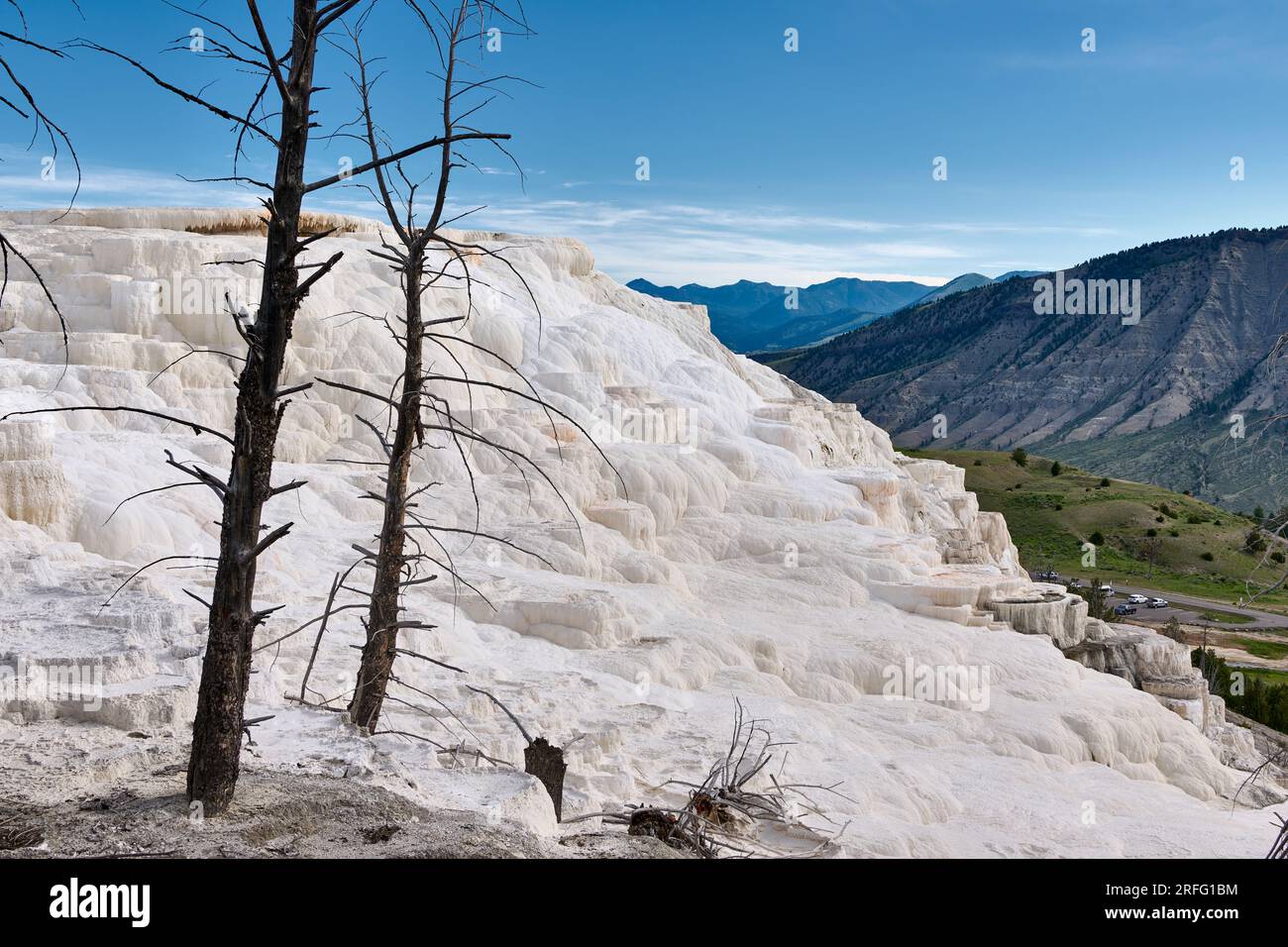 Canary Spring, Mammoth Hot Springs, Yellowstone National Park, Wyoming ...