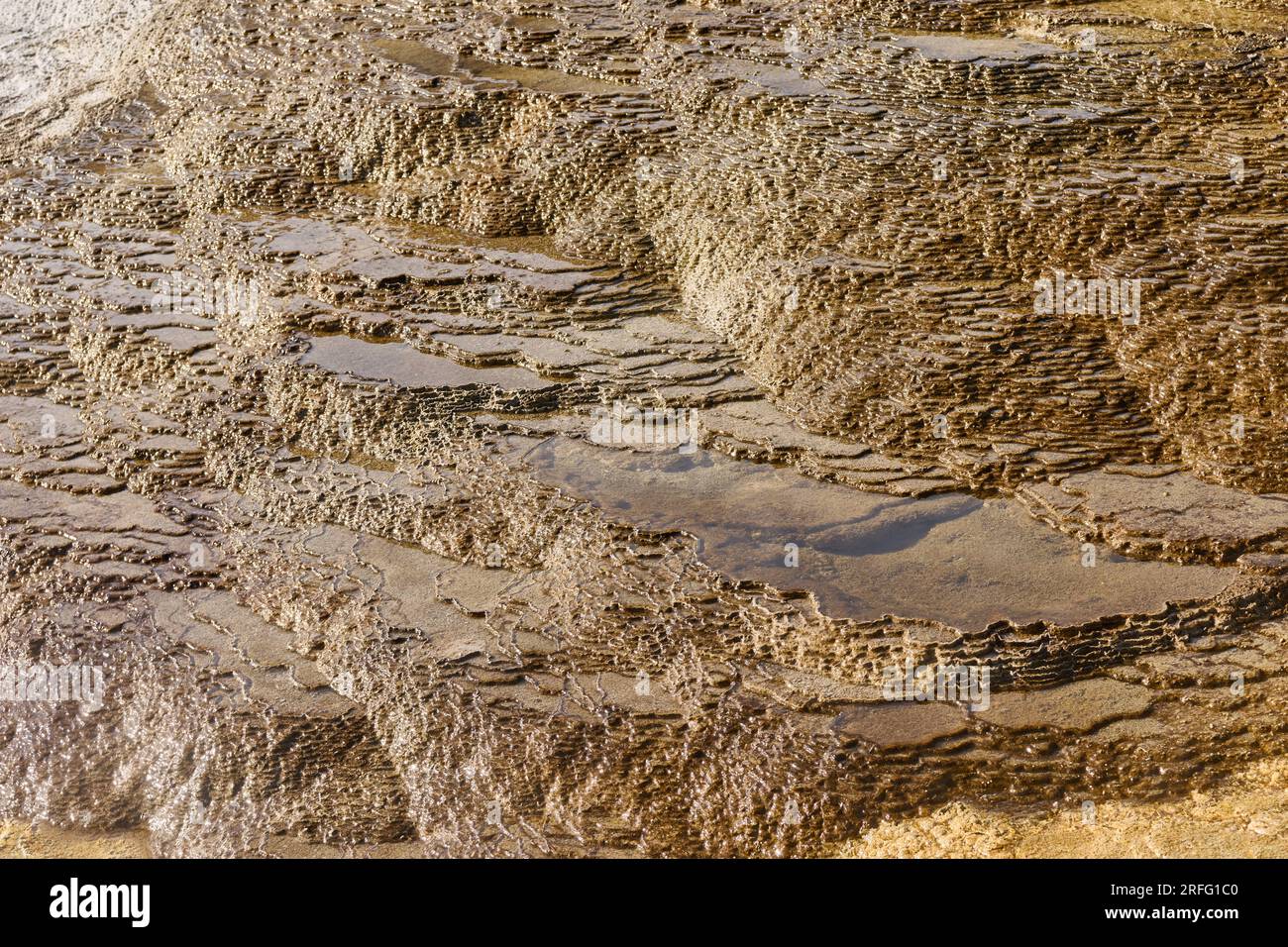 Mound Spring and Jupiter Terrace, Mammoth Hot Springs, Yellowstone ...