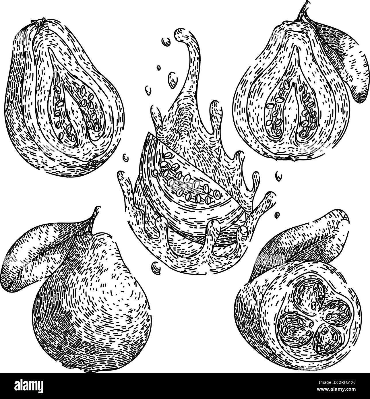 Set colorful fruit vegetable Black and White Stock Photos & Images - Alamy