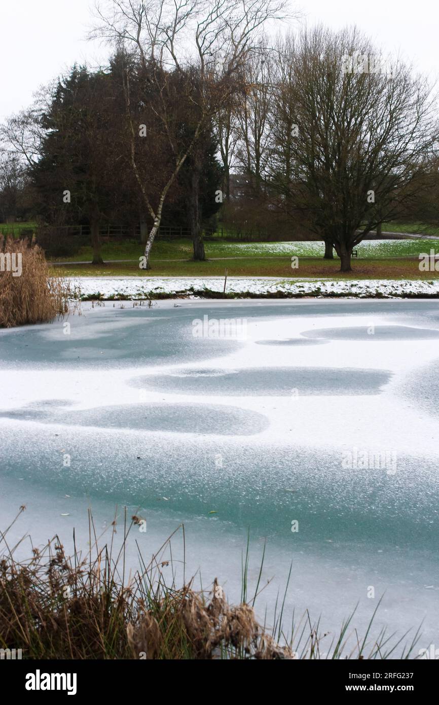 Cool and icy tones hi-res stock photography and images - Alamy