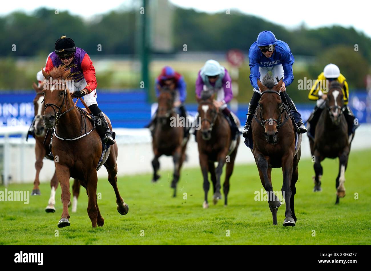 Desert hero goodwood hi-res stock photography and images - Alamy